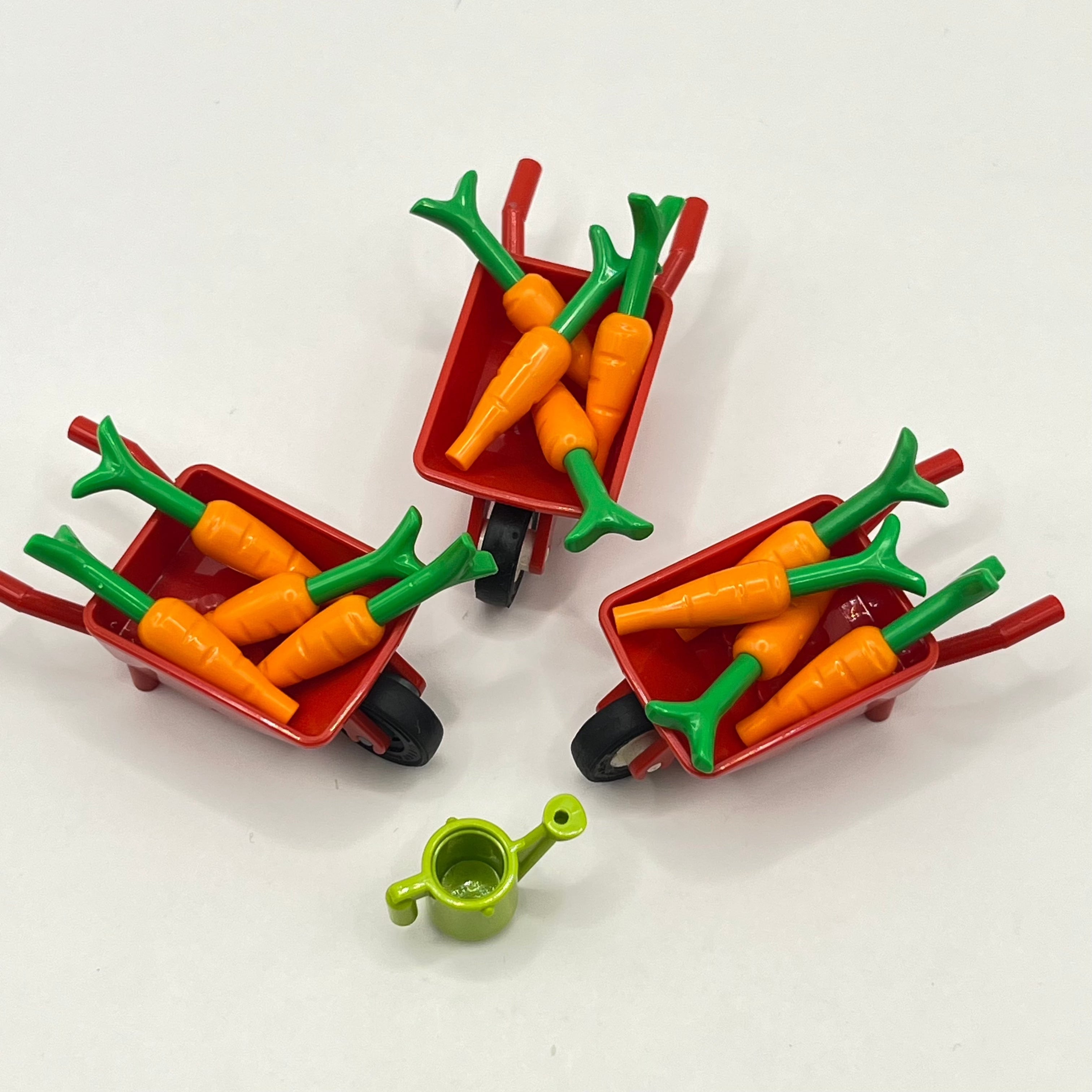 LEGO Garden, Wheelbarrow, Carrots 15 Pieces – Brick Cycle
